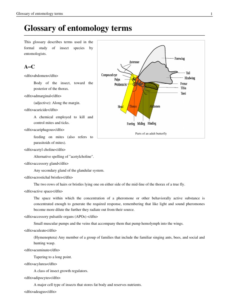 Entomology - Glossary of Entomology Terms | PDF | Insects | Anatomical ...