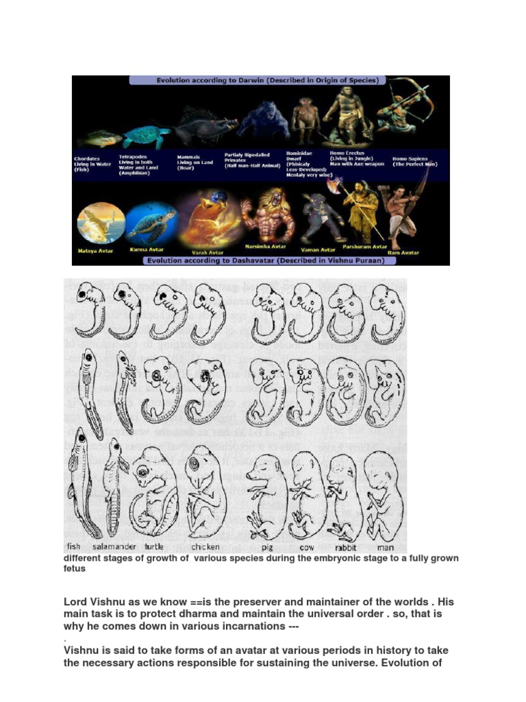 Evolution According To Dashavatar | PDF | Krishna | Hinduism