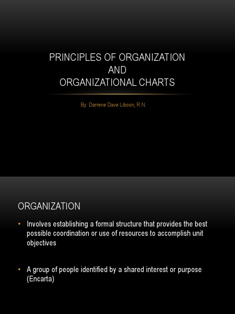 Principles of Organization Organizational Chart | PDF | Nursing ...