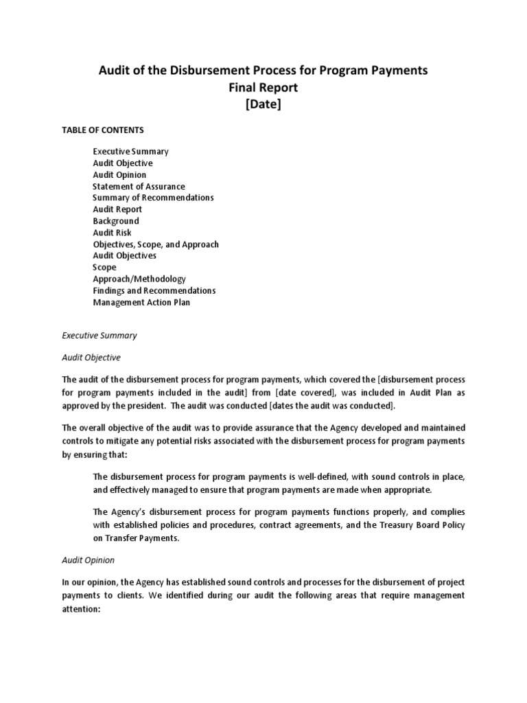 Audit of The Disbursement Process For Program Payments | PDF | Auditor ...