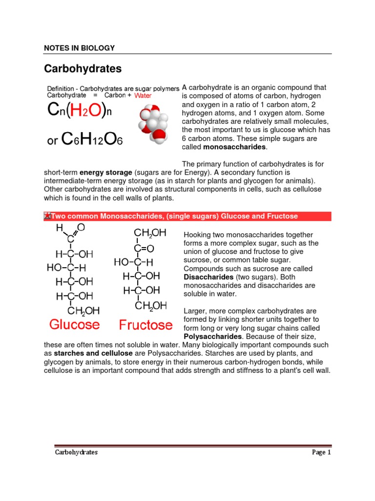 Carbohydrates Note | Carbohydrates | Glucose