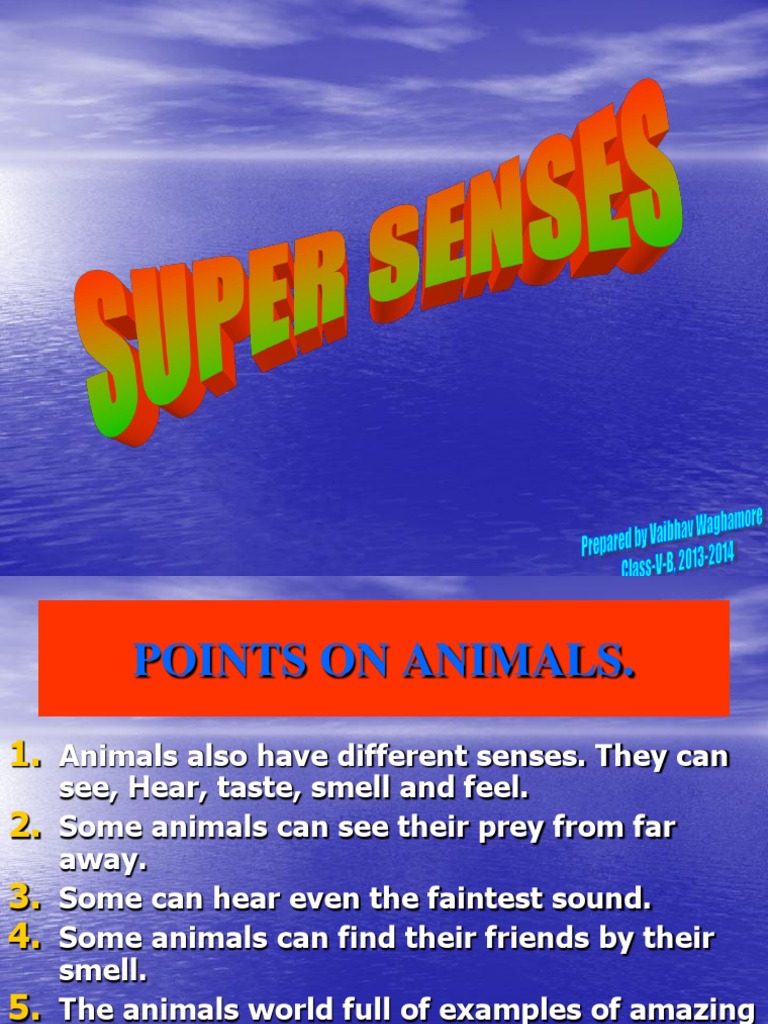 Super Senses | PDF | Senses | Organisms