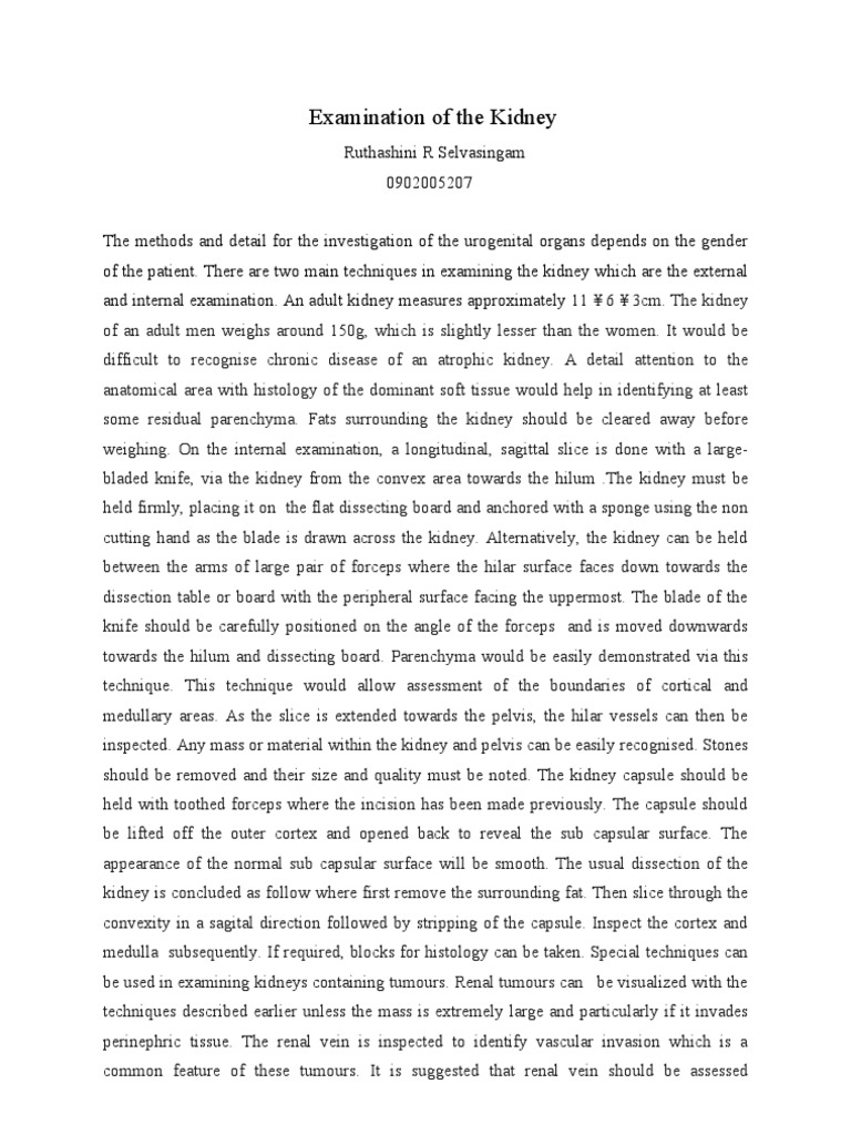 Kidney Autopsy Techniques | PDF | Kidney | Human Anatomy