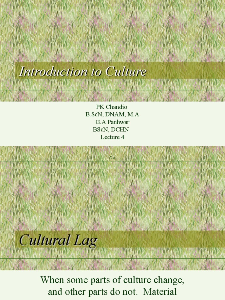culture lag | Sociological Theories | Social Institutions