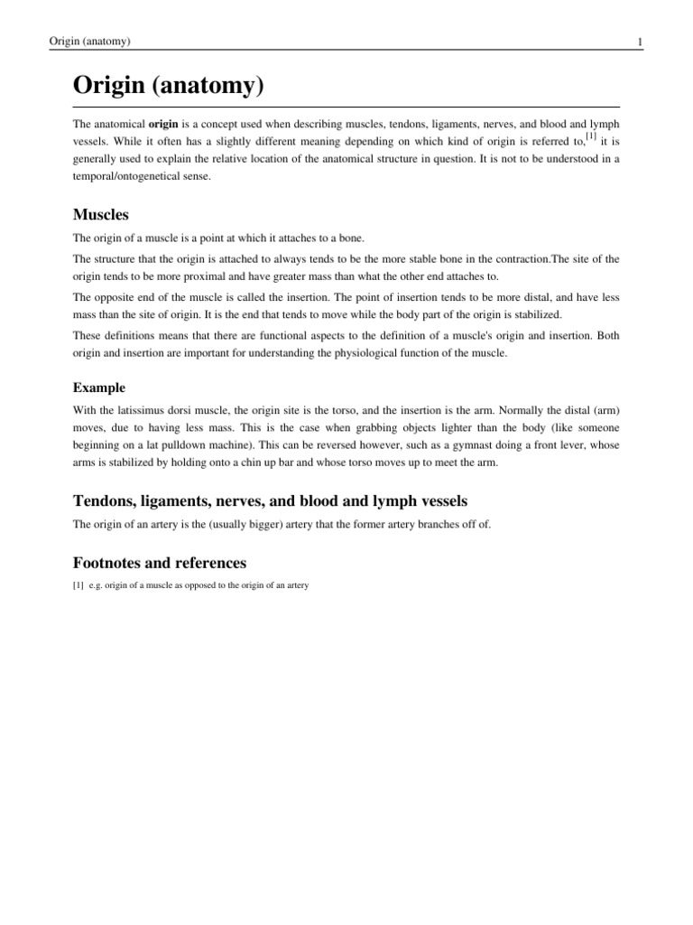 Origin (Anatomy) | PDF | Social Science