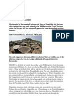 Lithic Stone Tool Typology PDF | PDF | Artifact (Archaeology) | Neolithic