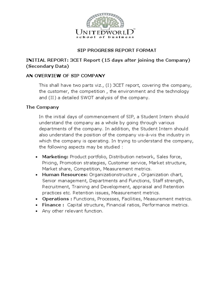 SIP Report Guidelines | PDF | Swot Analysis | Competition