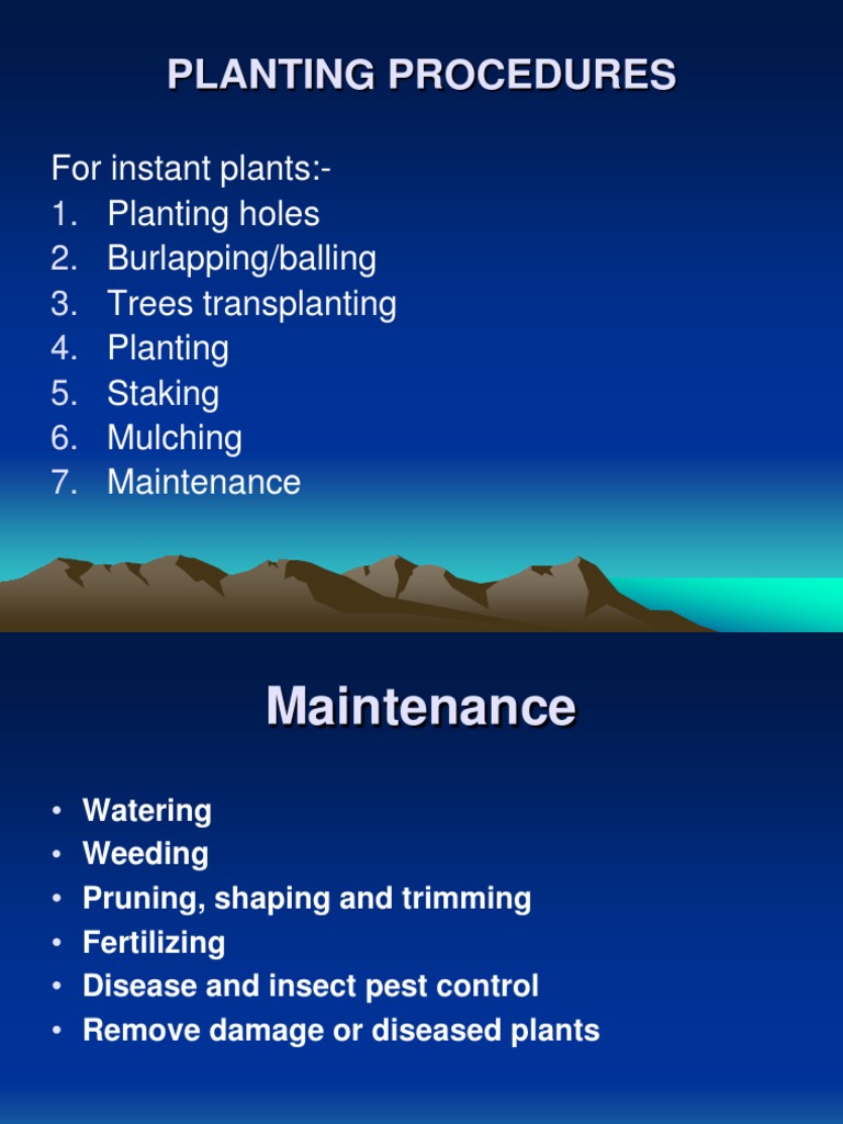 Soft Landscape 3 | PDF