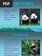 Tipos de Pandas | PDF | Panda gigante | Osos