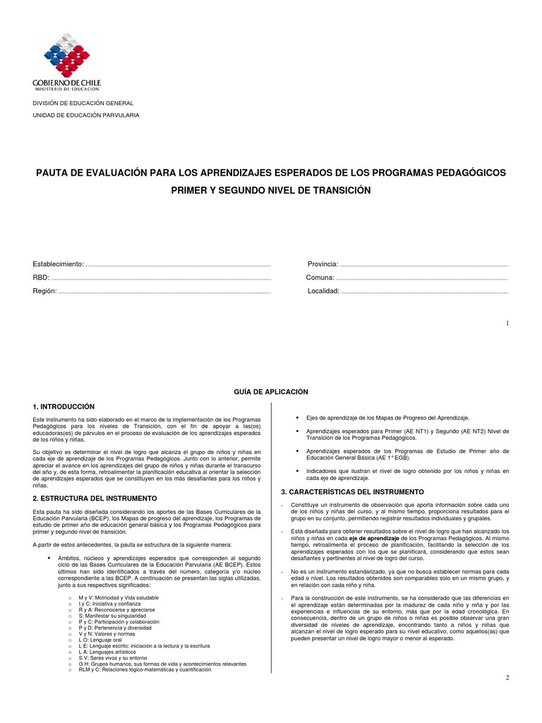 Pauta Evaluacion Programas NT1 y NT2 | PDF | Palabra | Evaluación
