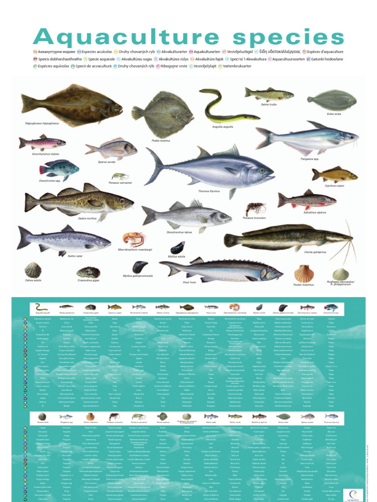 Ue Aquaculture Species Poster | PDF