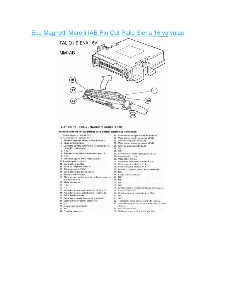 Ecu Magnetti Marelli IAB Pin Out Palio Siena 16 Valvulas | PDF ...