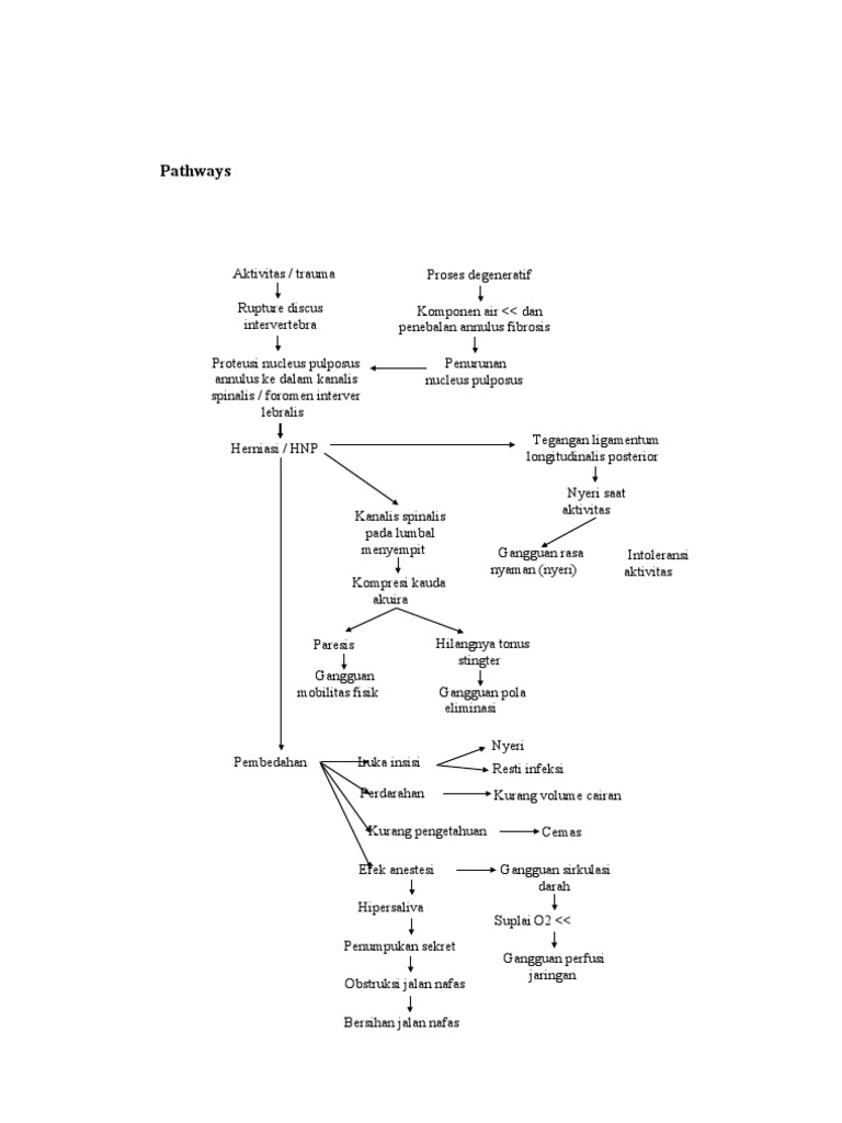 Pathways Hernia | PDF