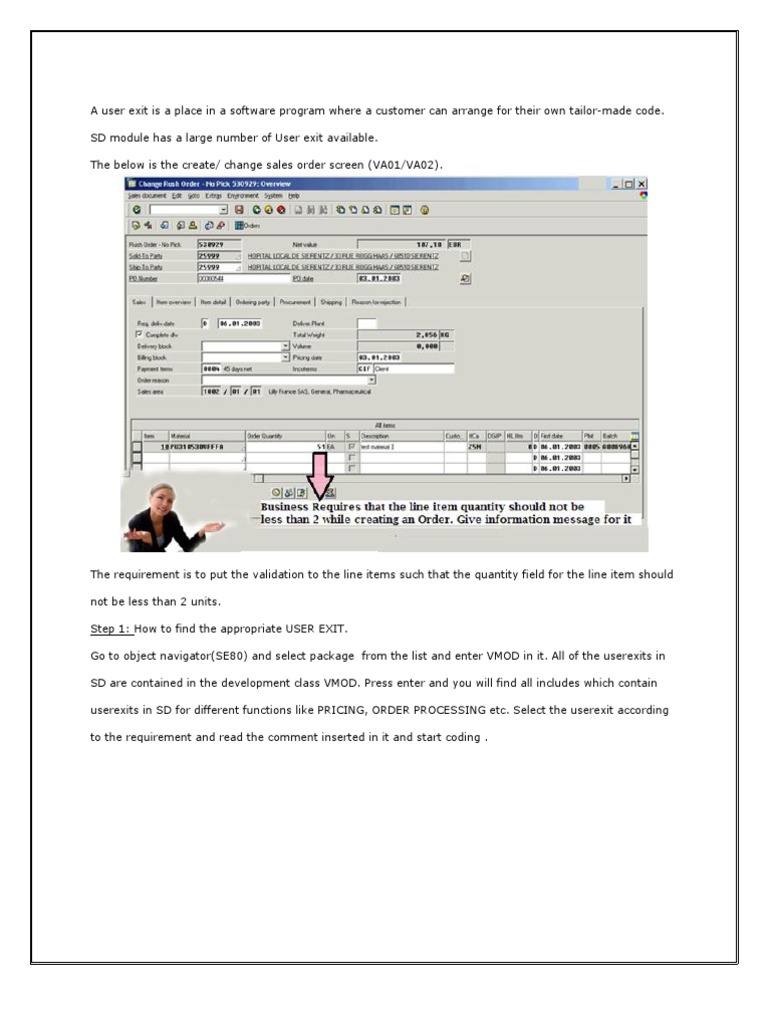 A User Exit Is A Place in A Software Program Where A Customer Can ...