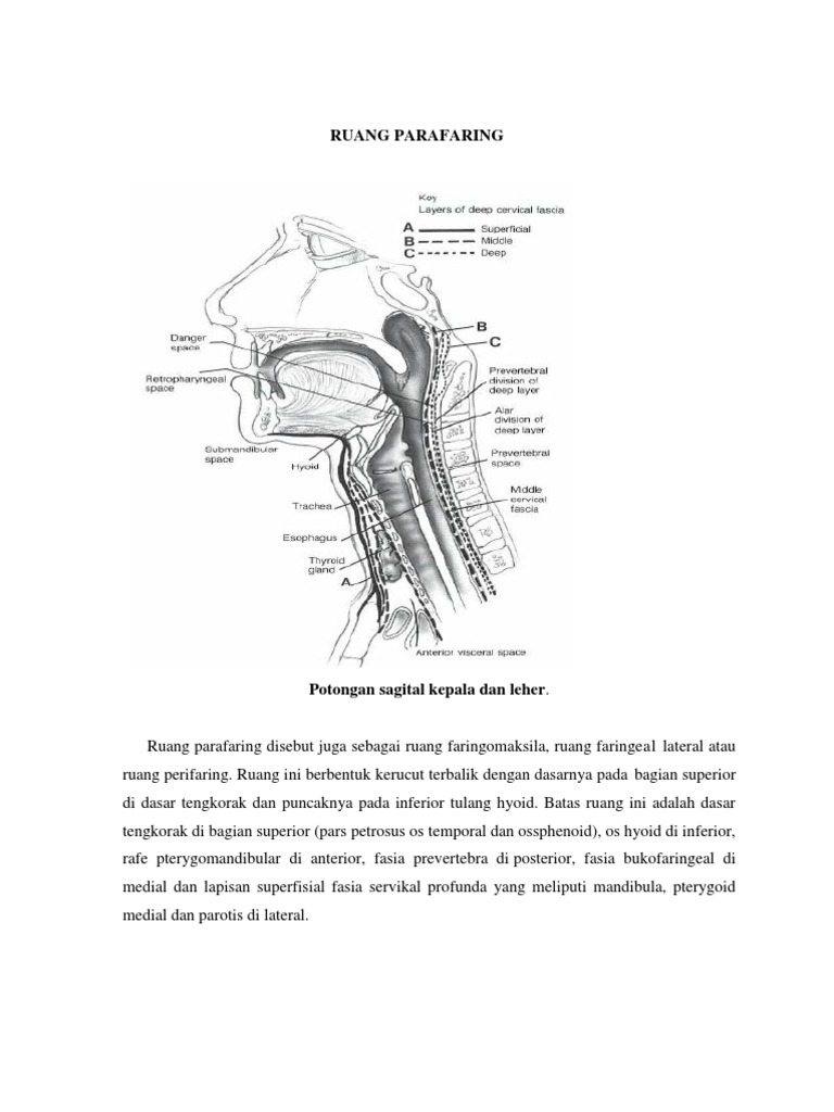 Abses Parafaring: Definisi dan Penanganan | PDF