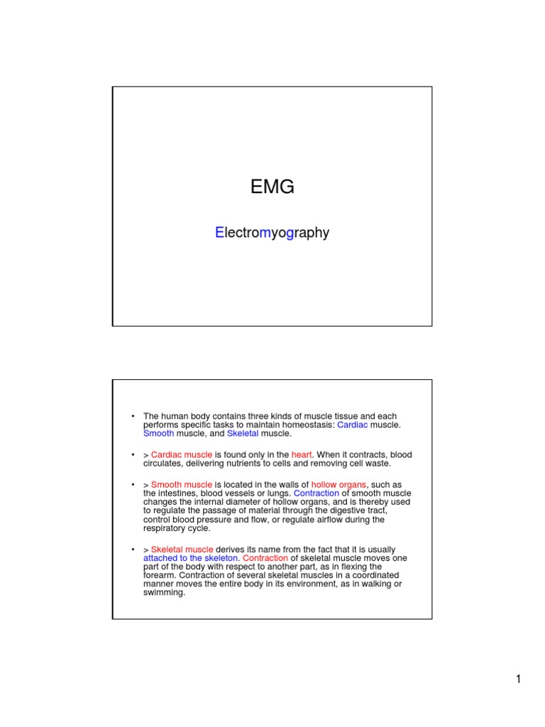 EMG Lab Simple Muscle Twitch | PDF | Muscle Contraction | Myocyte