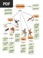 Foldables de Animales Invertebrados | PDF | Branquia | Tentáculo