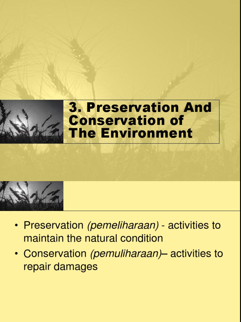 Preservation and Conservation of The Environment | PDF ...