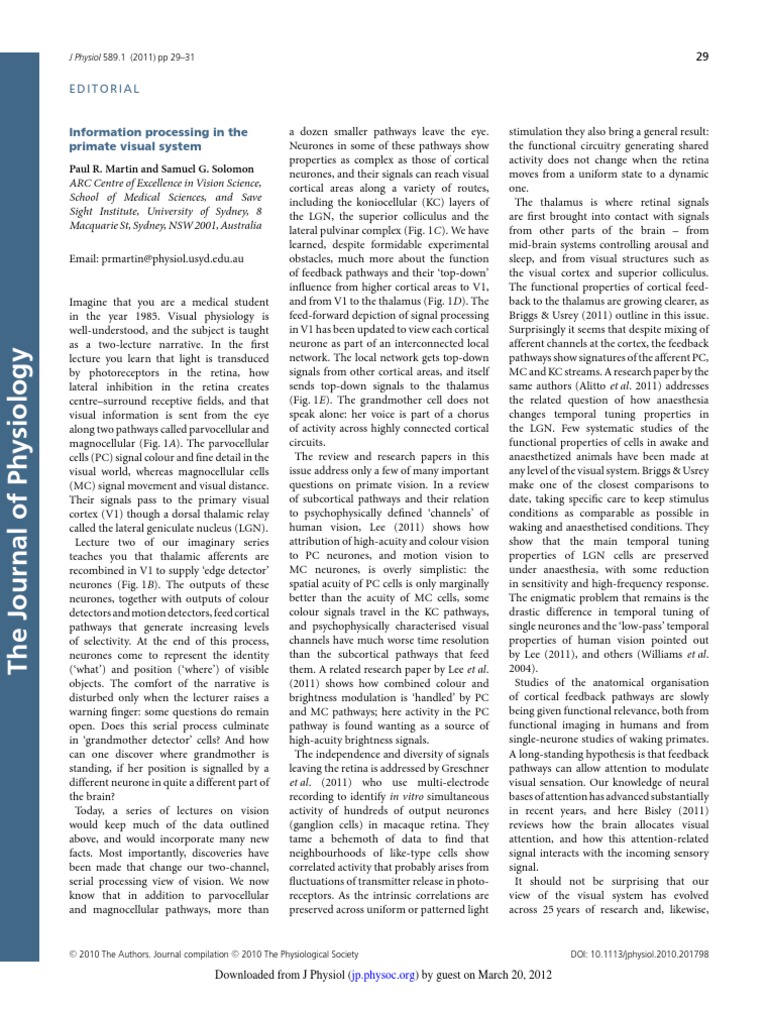 Information Processing in The Primate Visual System | Download Free PDF ...