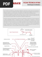 Ficha 2 Diseño de Orejas de Izaje Rev1