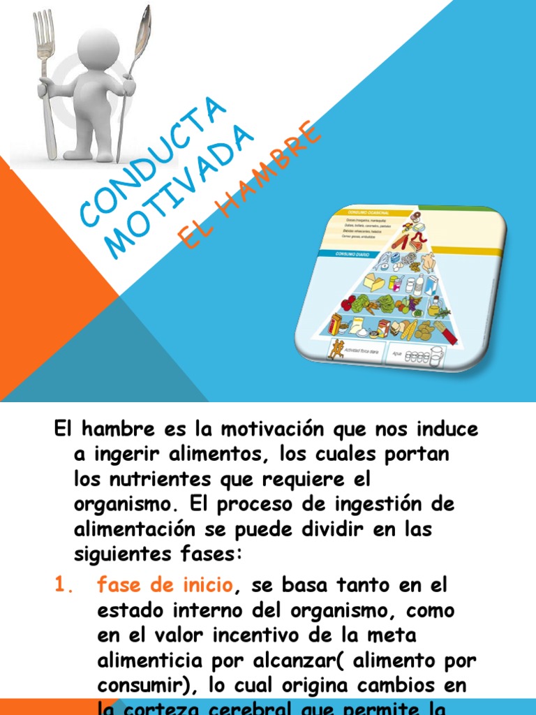 Conducta Motivada | PDF | Hipotálamo | Leptina