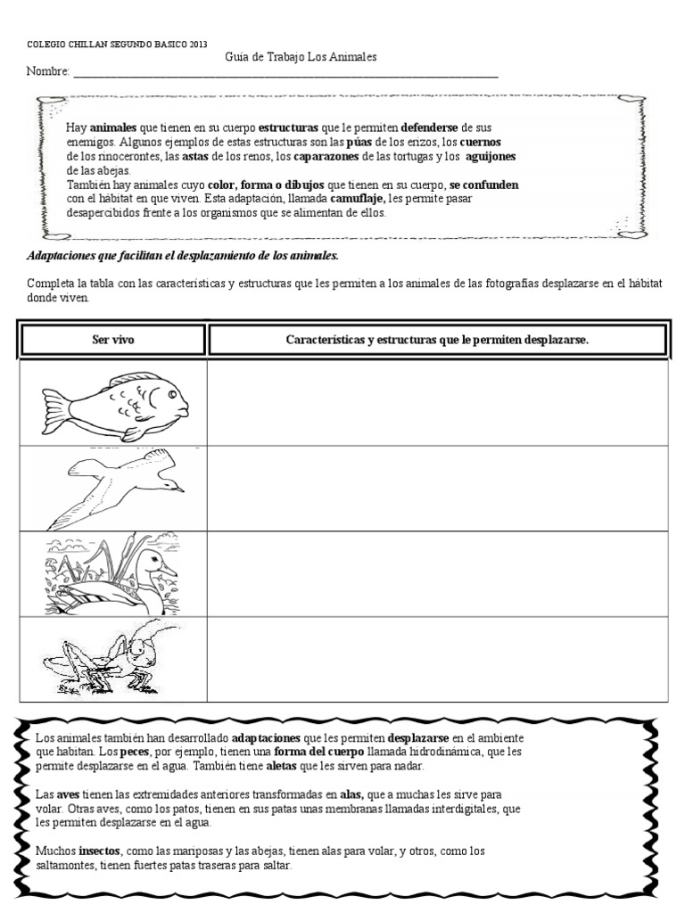 Clasificación y Adaptaciones de Animales | PDF | Anfibio | Reptil