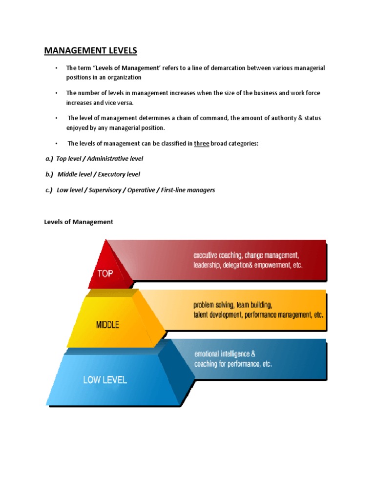 Management Levels | Download Free PDF | Goal | Employment