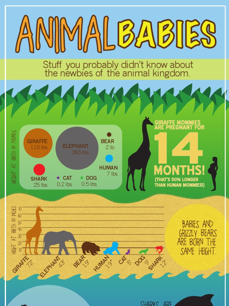 Newborn Animal Sizes and Weights | PDF | Pound (Mass) | Nature