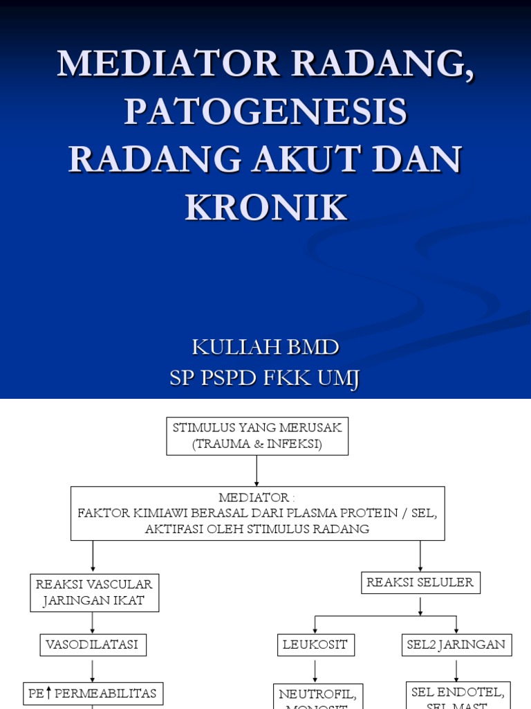Patogenesis Radang Akut Dan Kronik | PDF