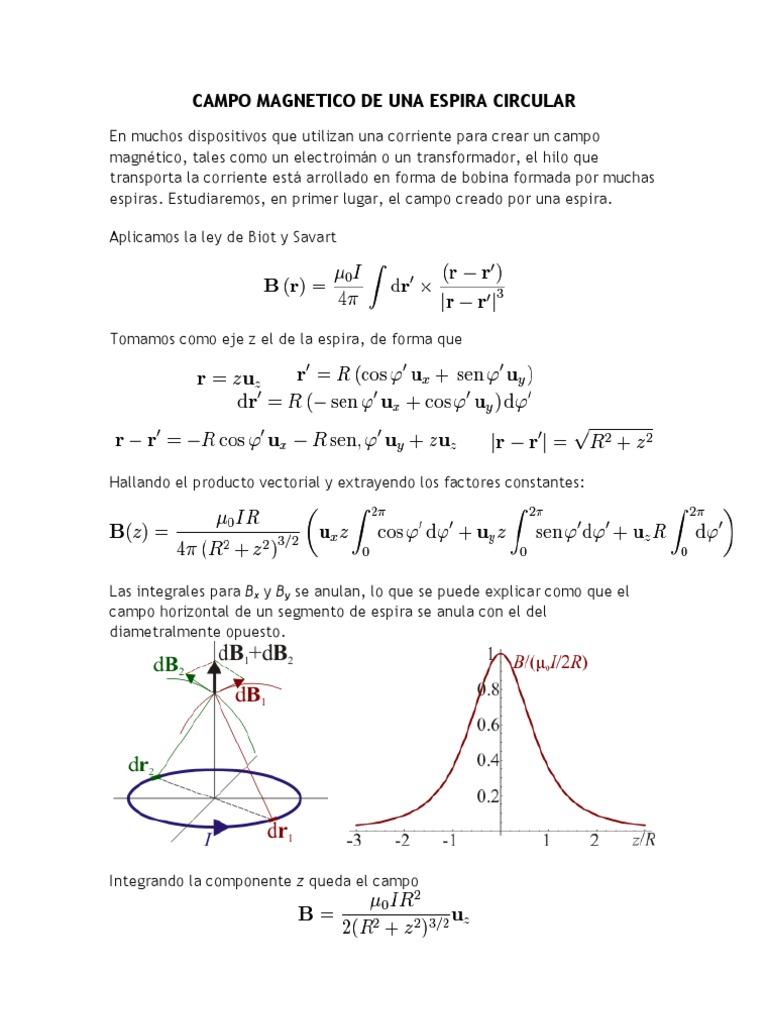 Campo Magnetico de Una Espira Circular | PDF