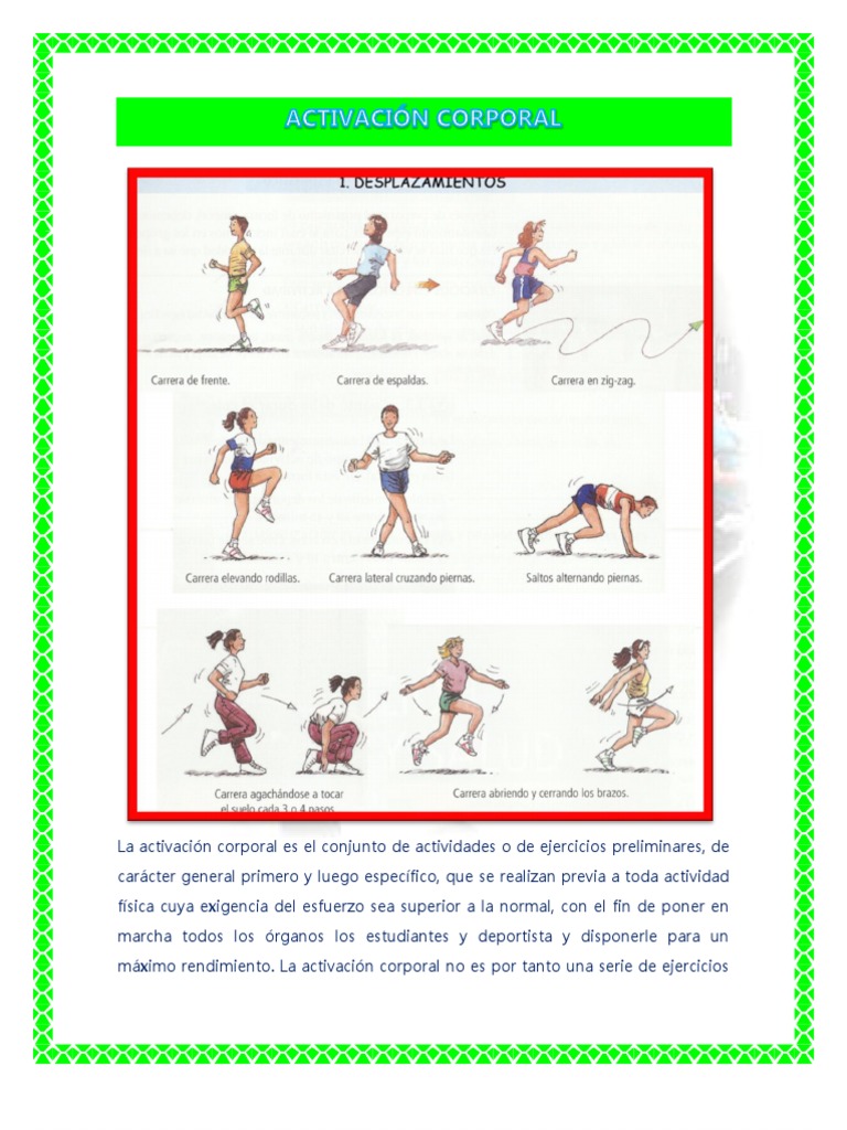 Activación Corporal | Flexibilidad (anatomía) | Músculo