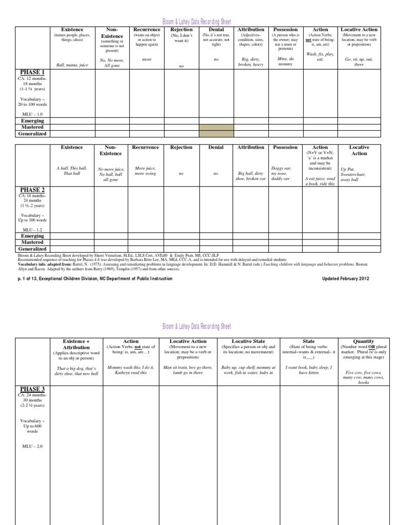 Bl Data Sheet | Language Development | Verb