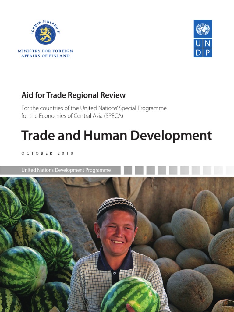 Aid For Trade Needs Assessments Regional Review | PDF | Aids ...