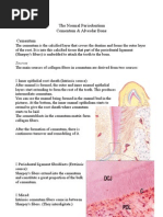 CEMENTUM & Cementogenesis | PDF | Human Tooth | Dentin