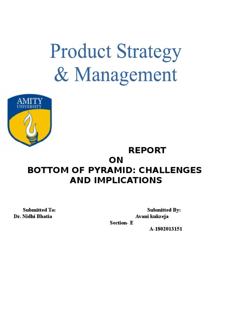 Bottom of The Pyramid | PDF | Poverty | Poverty & Homelessness