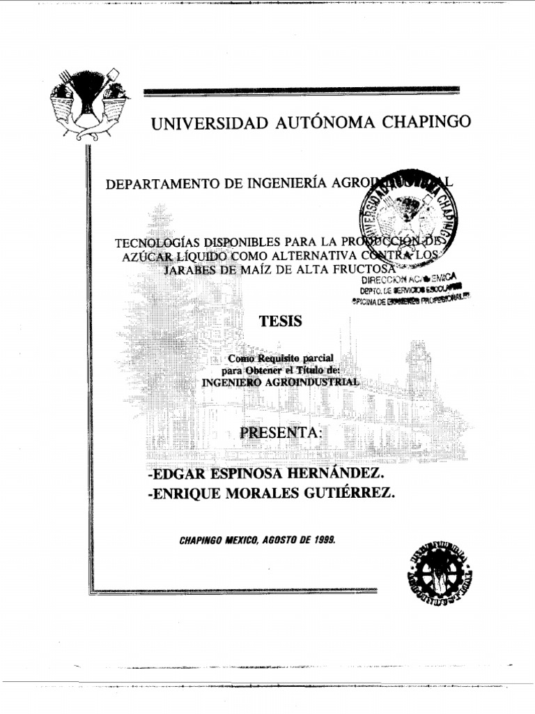 Chapin Go 0071 Azucar | PDF | Innovación | Azúcar