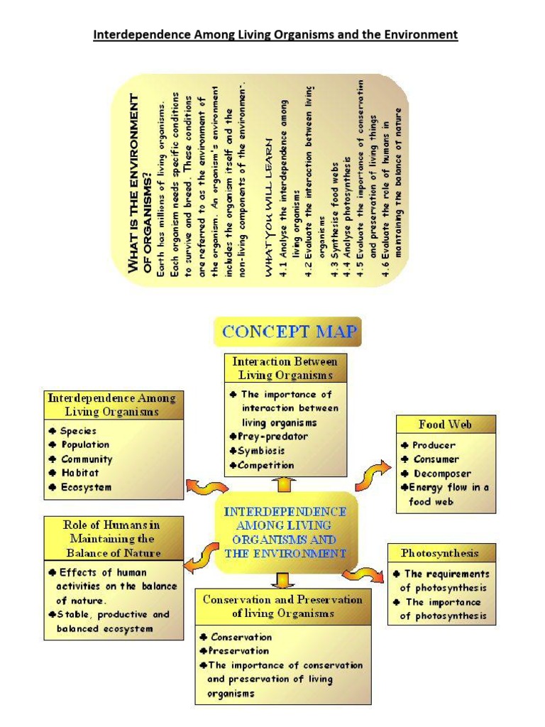 Interdependence Among Living Organisms and The Environment Notes | PDF ...