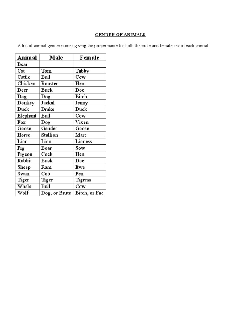 Animal Male Female: A List of Animal Gender Names Giving The Proper ...