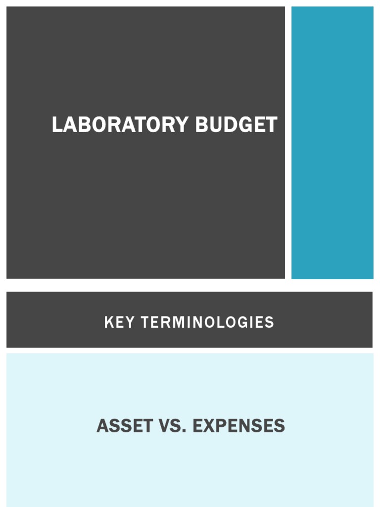 Laboratory Budget Powerpoint | PDF | Net Present Value | Economics