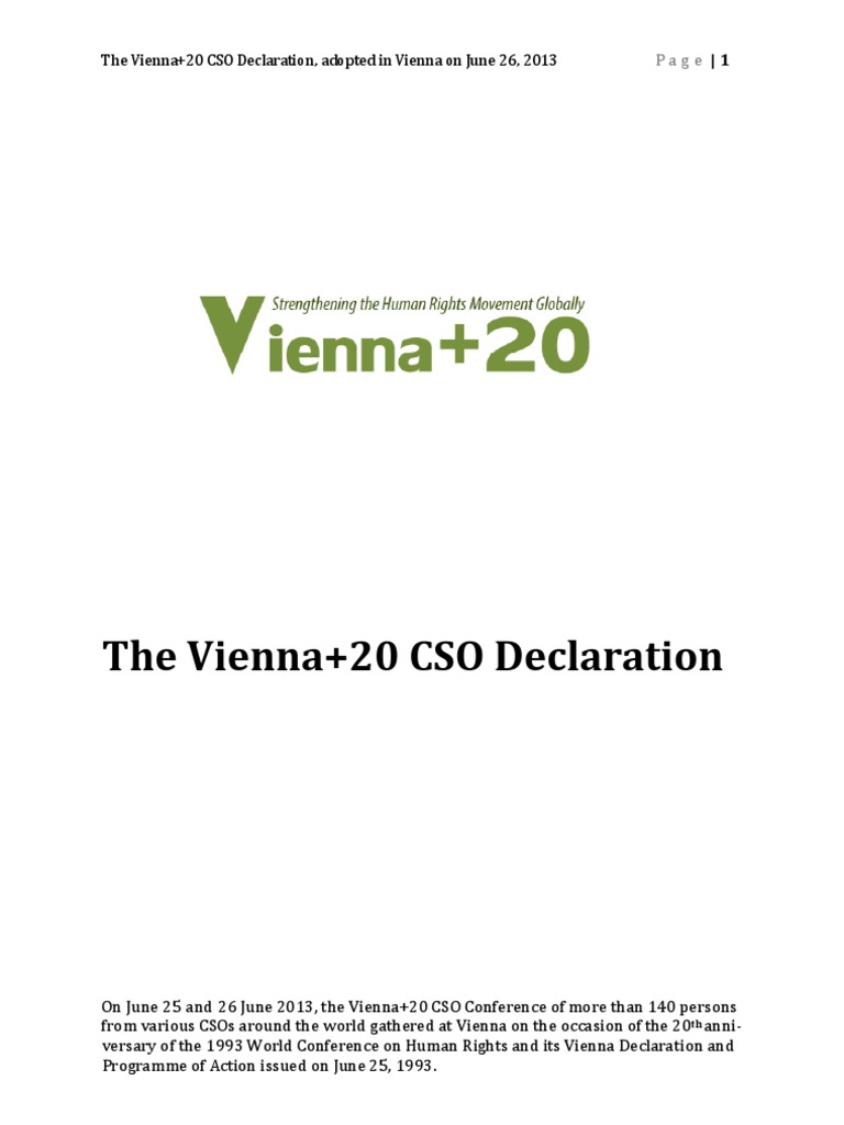 Vienna 20 CSO Declaration | PDF | Human Rights | Sustainability