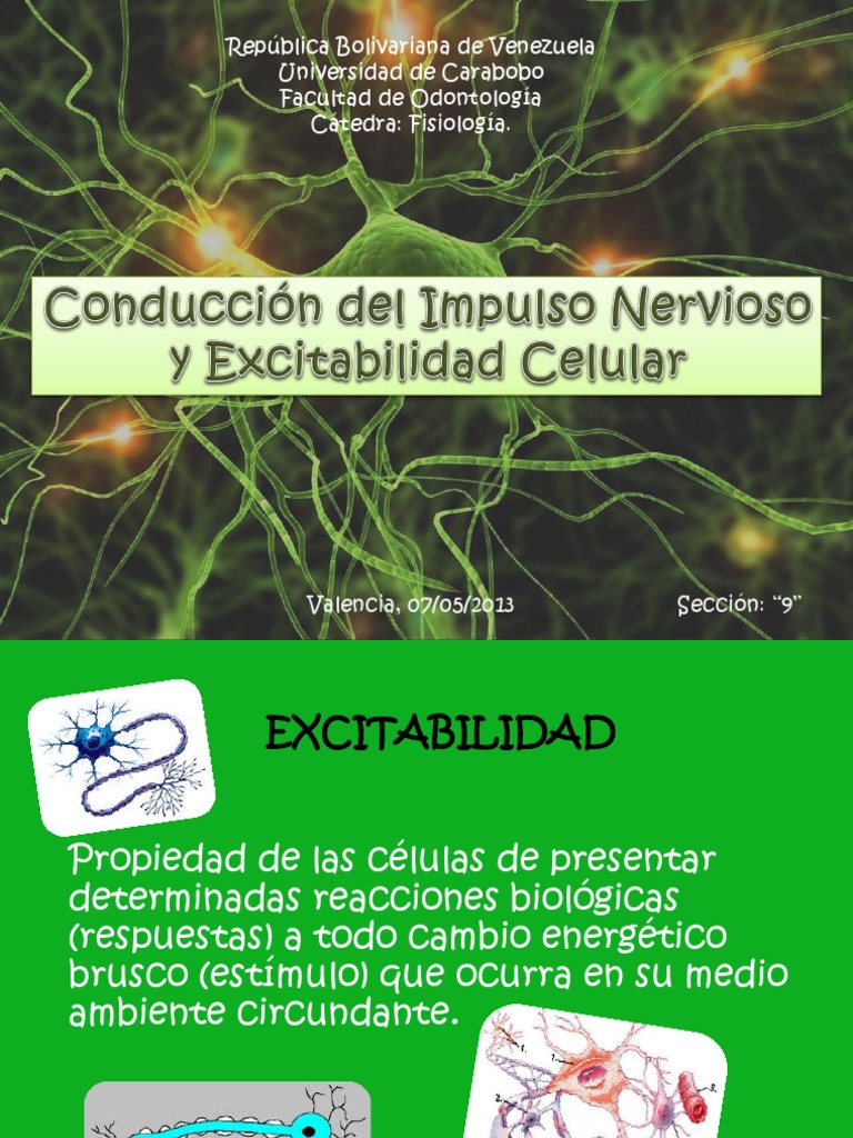Excitabilidad Neuronal y Respuestas Celulares | PDF | Sinapsis ...