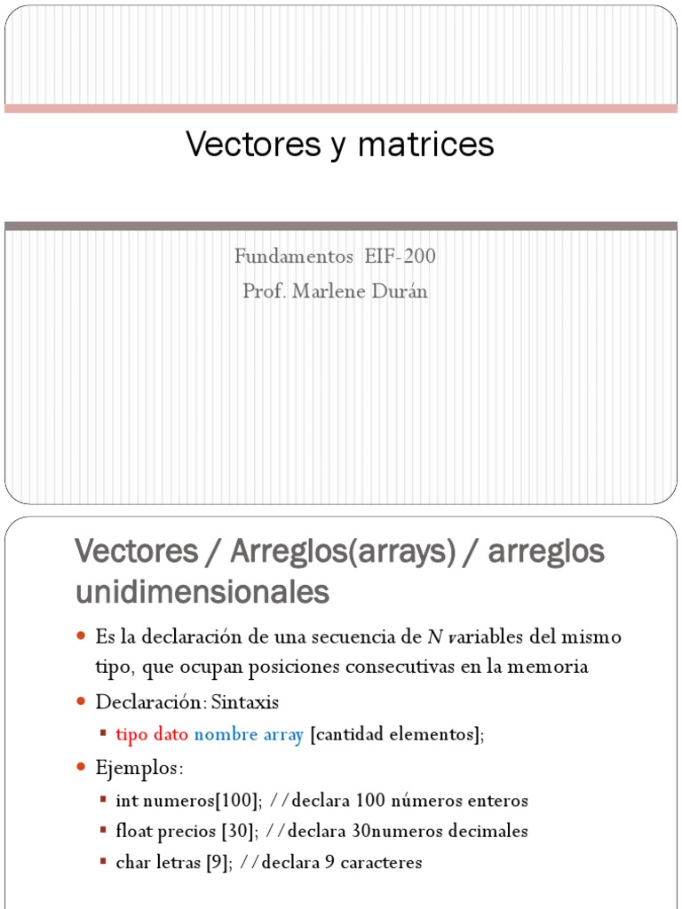 Programar Vectores y Matrices en C++ | PDF | Estructura de datos de ...