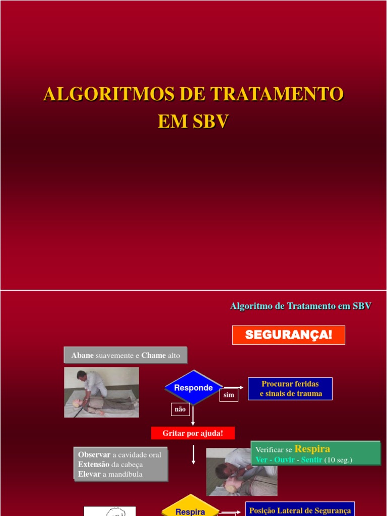 Algoritmo de SBV | PDF