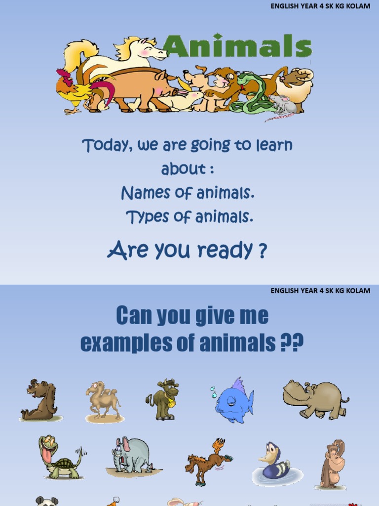 Animals Year 4 | PDF