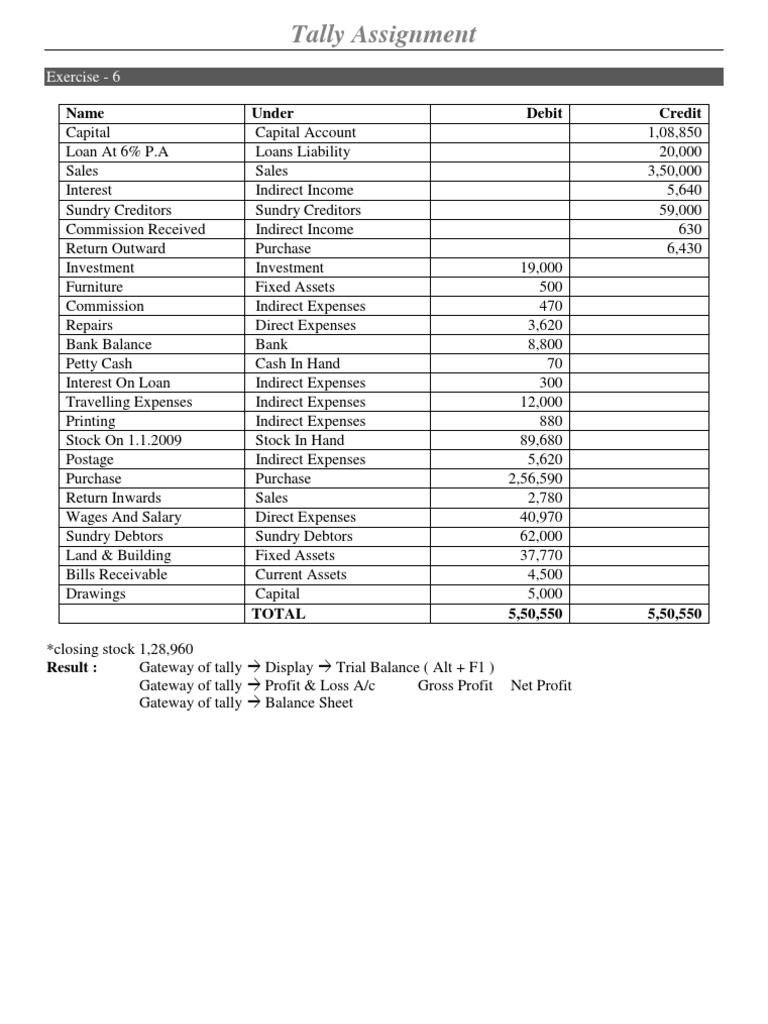 Tally Exercise 6 | PDF