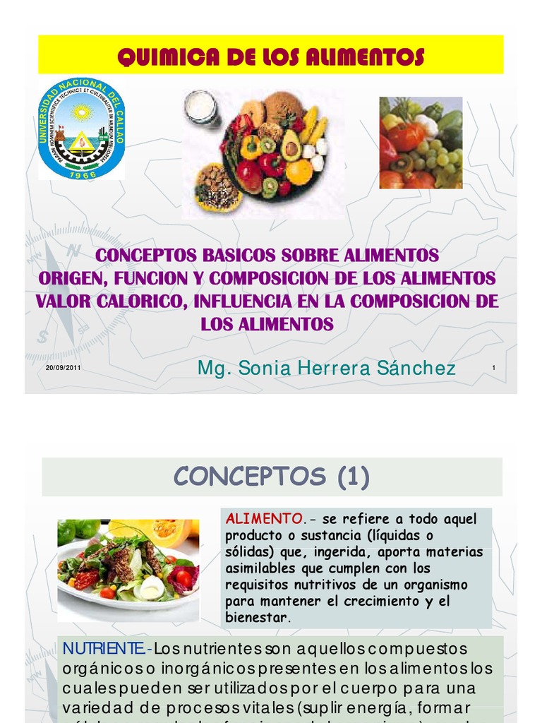 01 - Conceptos Basicos Sobre Alimentos (Modo de Compatibilidad) | PDF ...