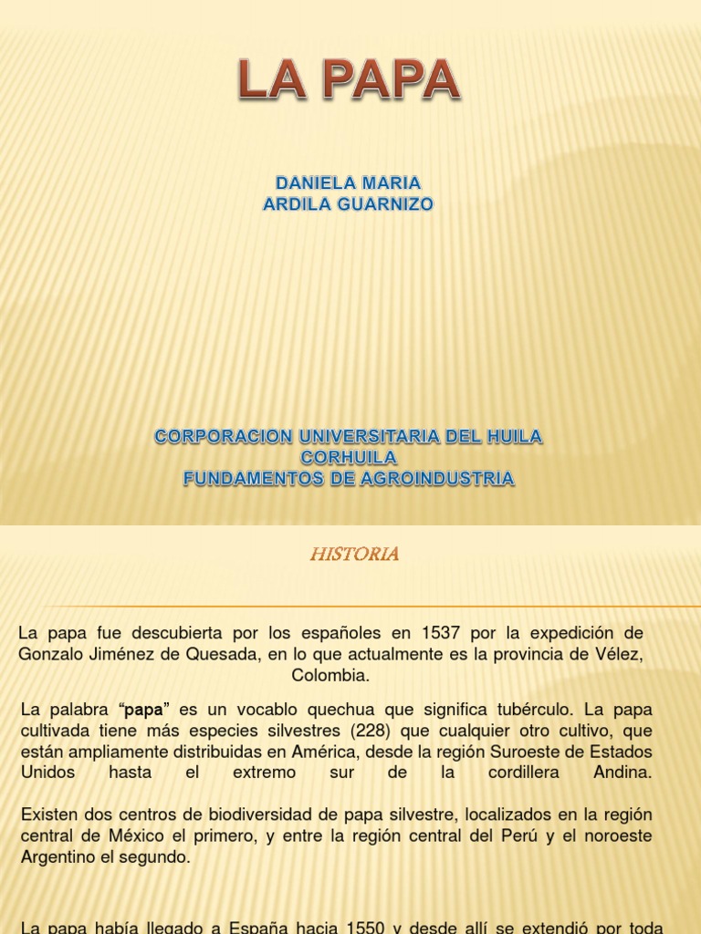 Significado De La Palabra Papa