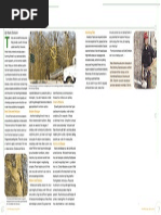 ISABasicTreeRiskAssessmentForm Instructions | PDF | Wood | Trees