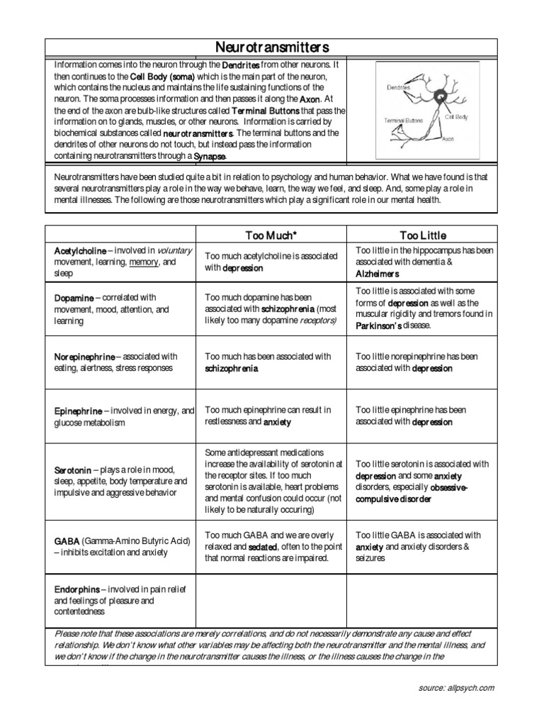 Neurotransmitter Chart | PDF | Neuron | Neurotransmitter
