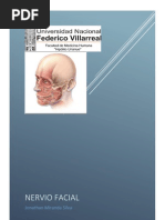 Ubicación y función del ganglio geniculado | PDF | Anatomia animal ...